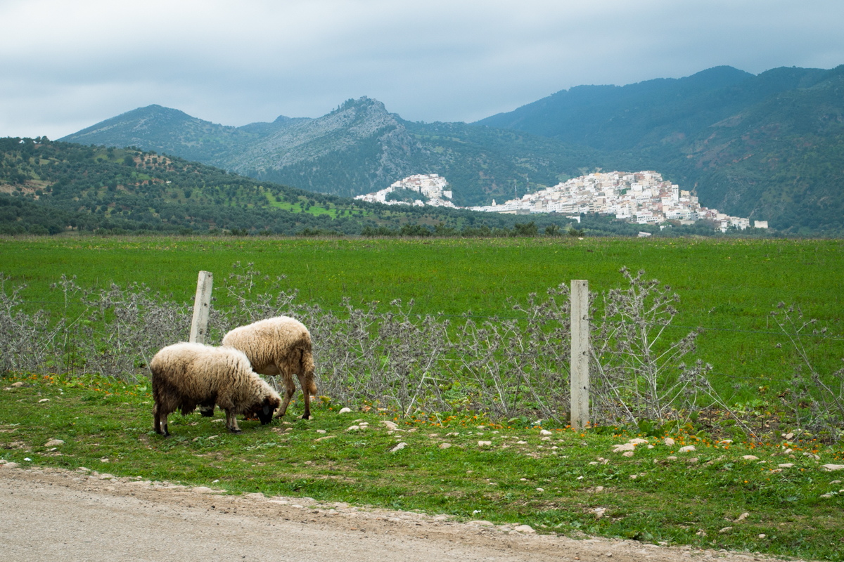 At the Feet of Atlas: Two Weeks in Morocco – Gregory Gioro